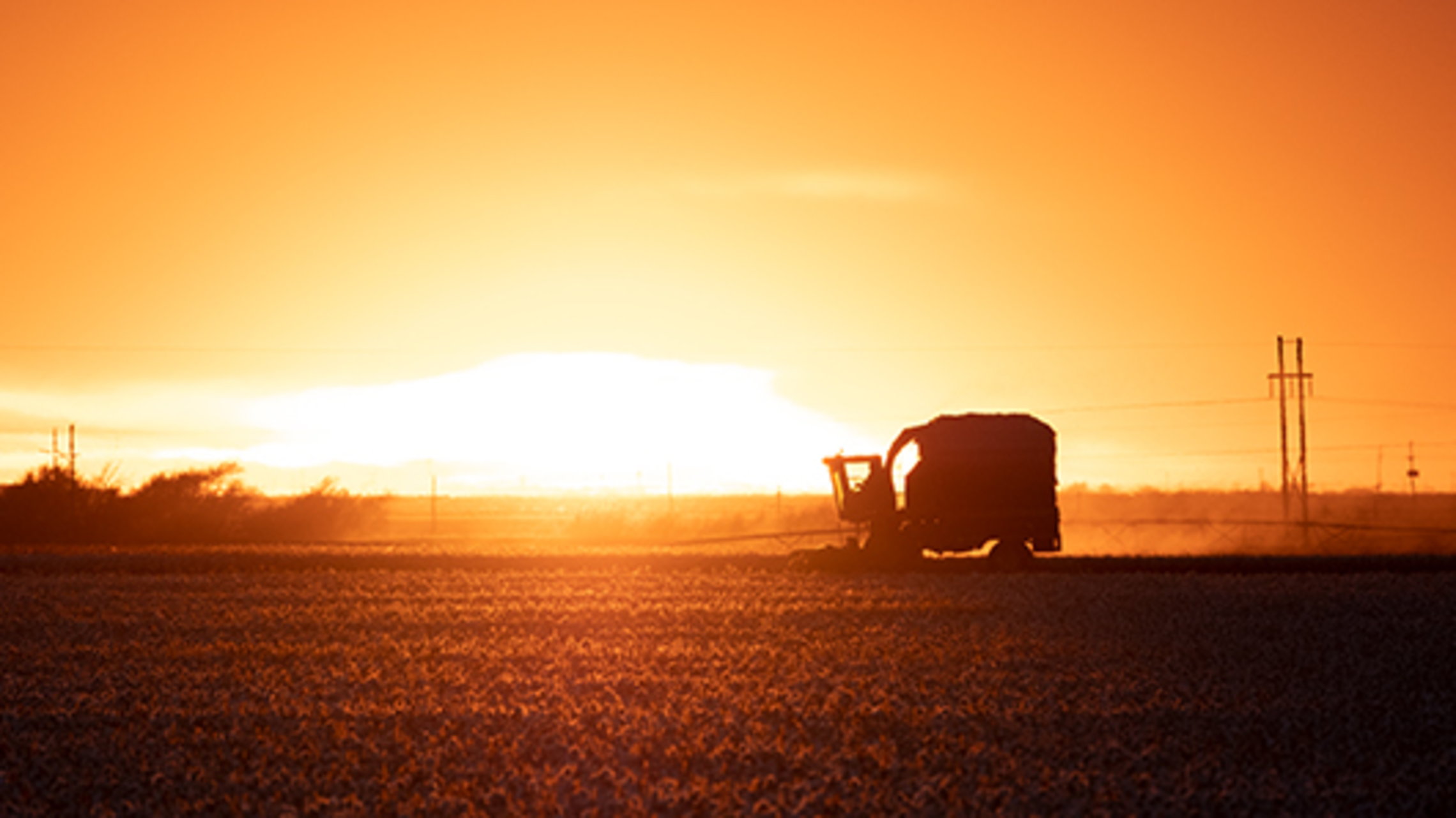 Welcome to the BASF Media-Exclusive Newsletter