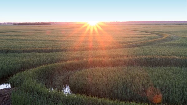 Innovative rotation system provides new option for battling resistance