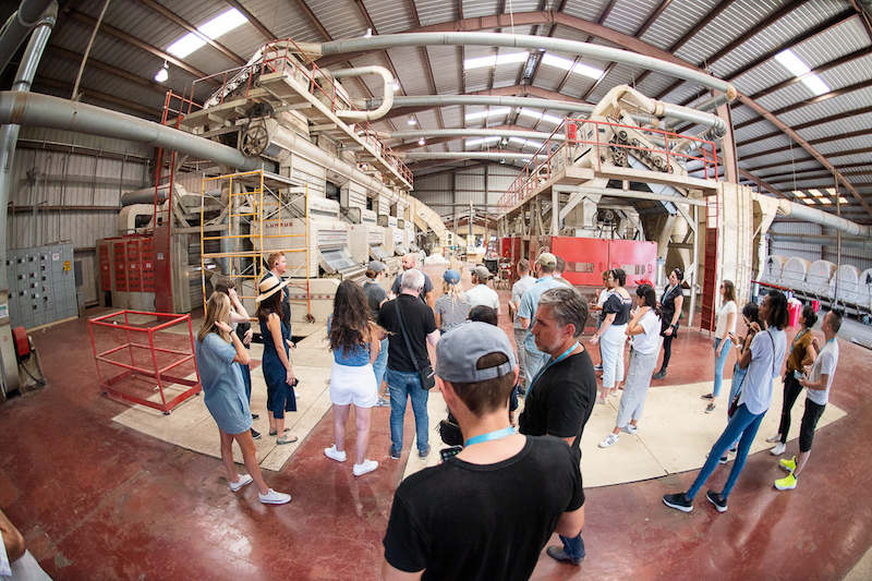 BASF hosts top fashion brands for its e3 sustainable cotton Farm to ...