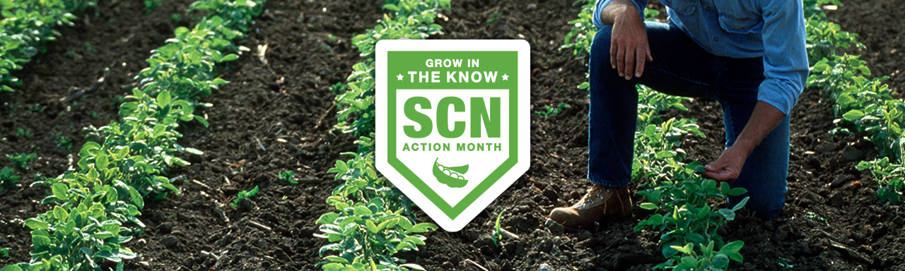 ILEVO® Seed Treatment