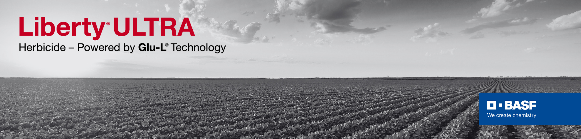 The Next Generation of Weed Control: Introducing Liberty® ULTRA Herbicide